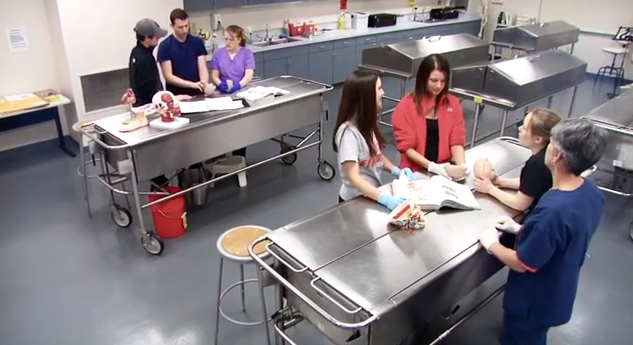 Dean's Welcome | University of Findlay