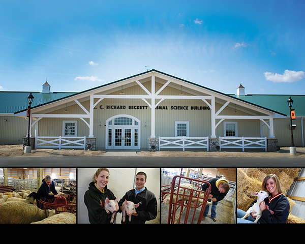 Pre-Veterinary Studies | Top Pre-Vet School | University of Findlay