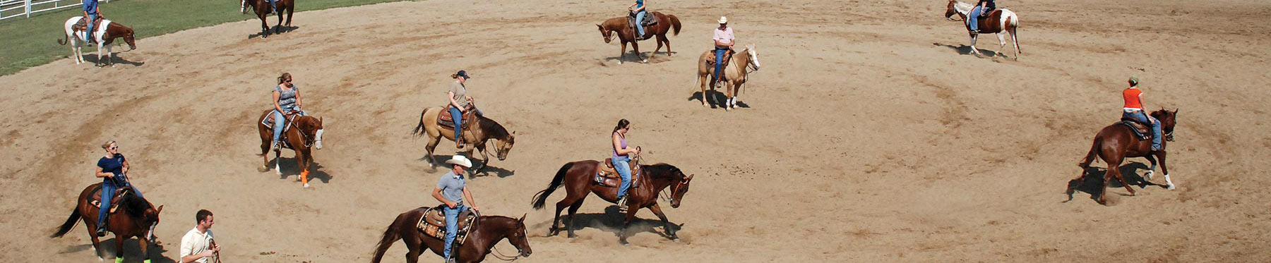 Findlay Western Equestrian