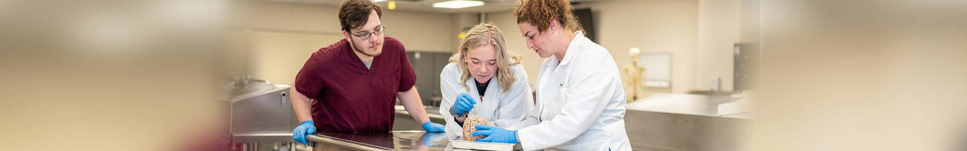 Master of Occupational Therapy | University of Findlay